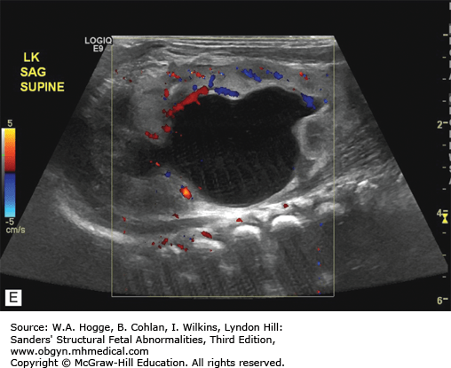 The Genitourinary System Obgyn Key