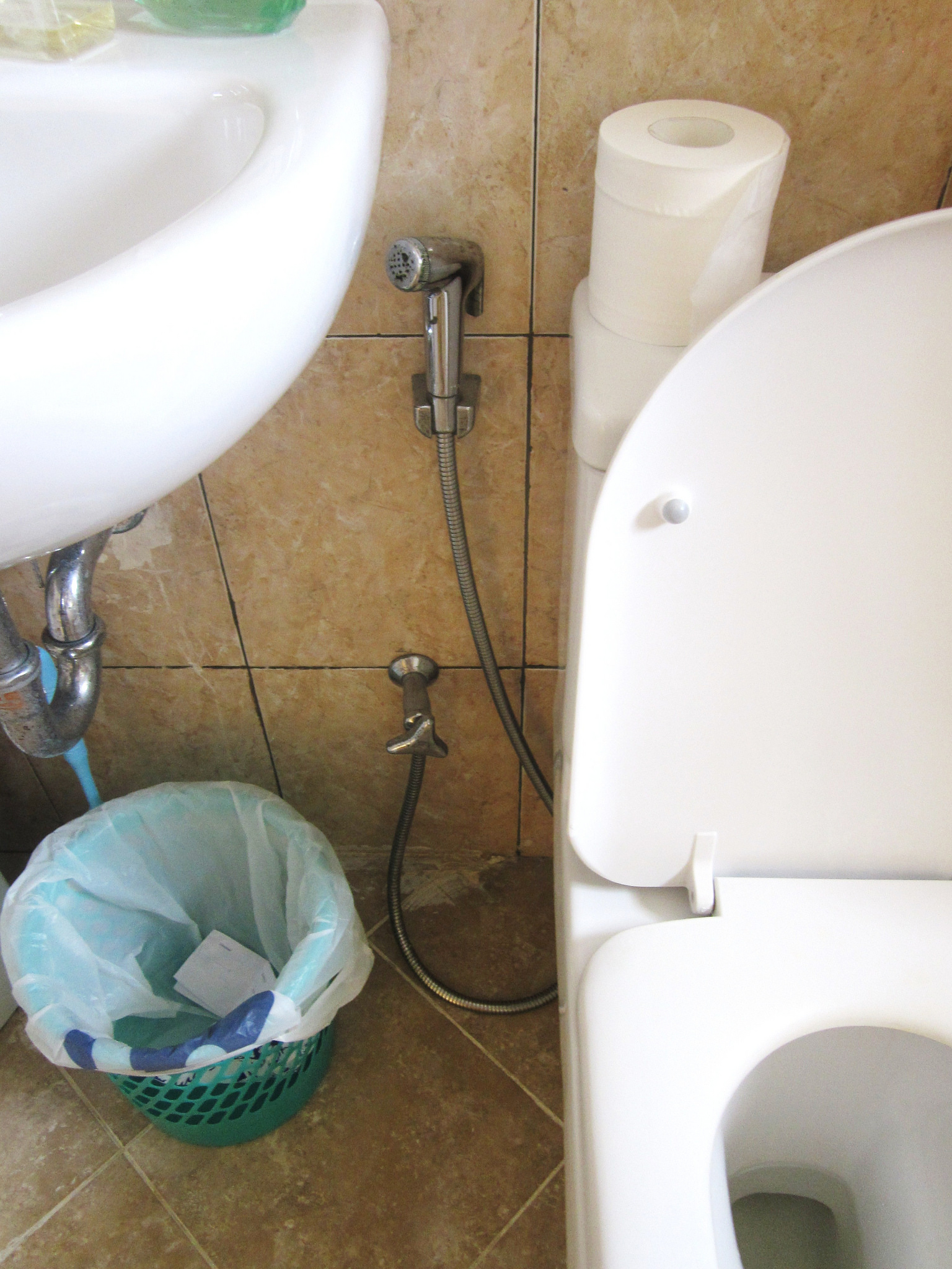 Japanese Girl Pooping In Toilet