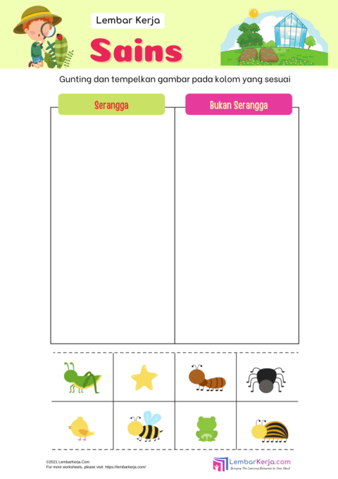 Worksheet Lembaran Kerja Tema Serangga Prasekolah Kolorowanka