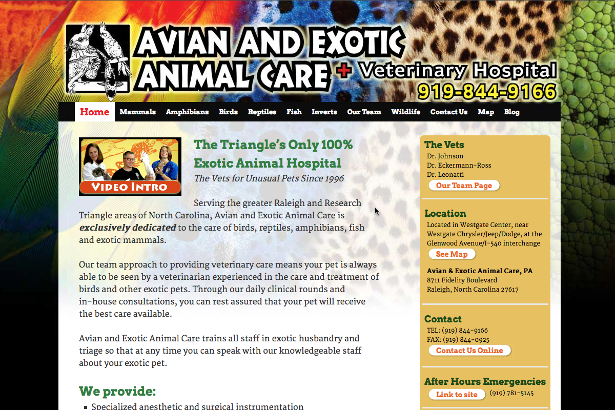 Avian And Exotic Animal Care Raleigh Nc The Triangle S Only 100