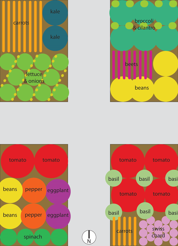 19 Vegetable Garden Plans And Layout Ideas That Will Inspire You