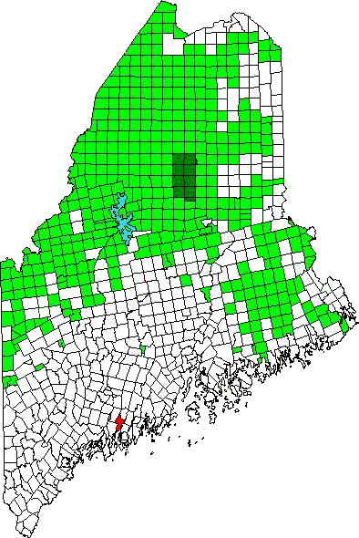 Wiscasset Maine An Encyclopedia