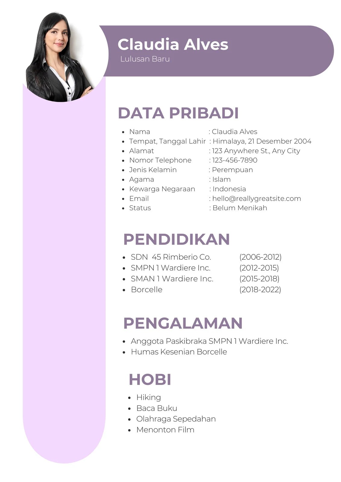 Curriculum Vitae Contoh Biodata Diri Yang Menarik Membuat Curriculum