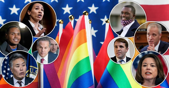 Record Number Of Lgbtq Lawmakers Heading To Us Congress Metro News