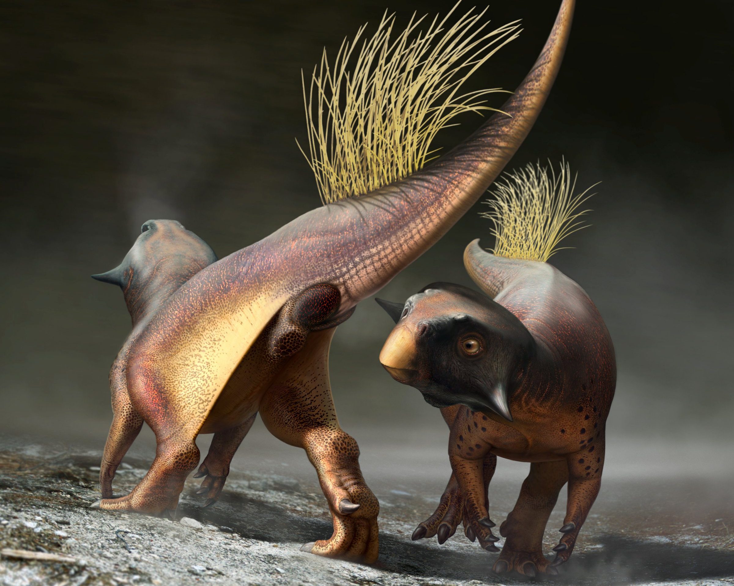 Scientists Reconstruct Genitals Of Mighty Dinosaurs To Learn How They