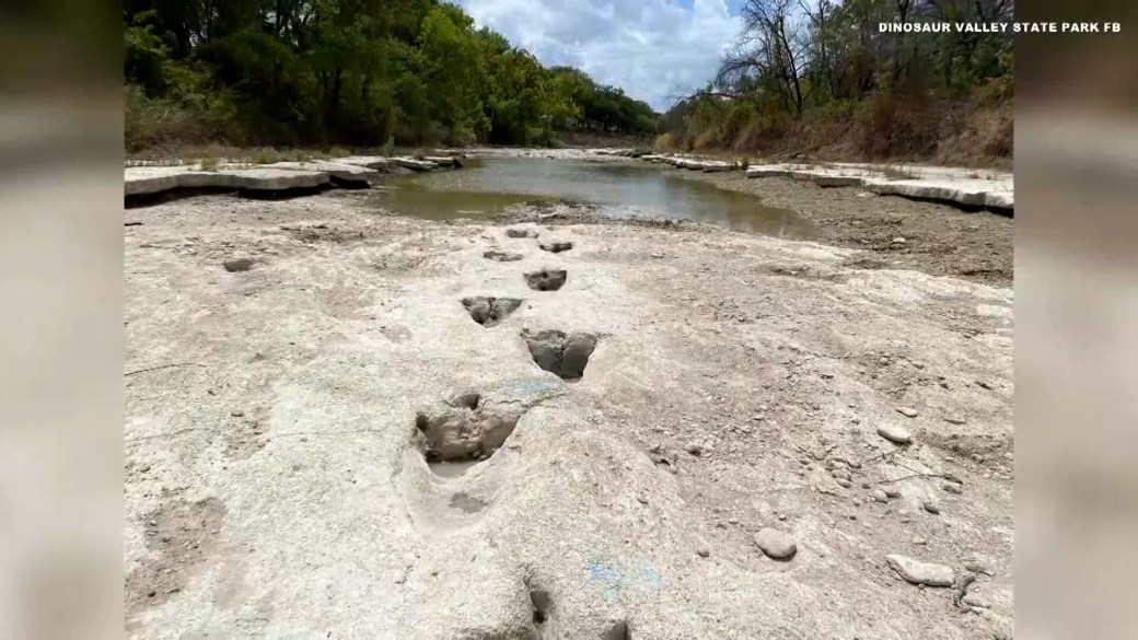 Dinosaur Tracks From 113 Million Years Ago Revealed After Severe