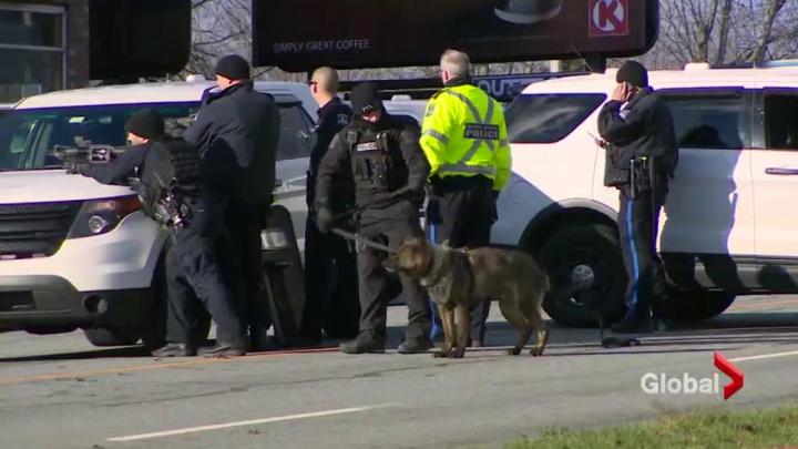 Man Barricaded In Halifax Home Surrenders Globalnewsca