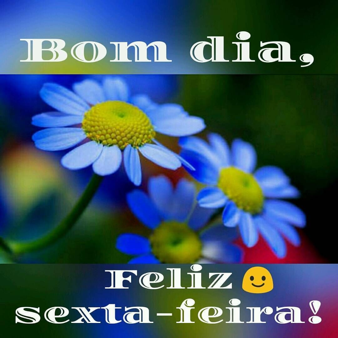 Mensagem De Feliz Sexta Feira Especial Mensagens Lindas