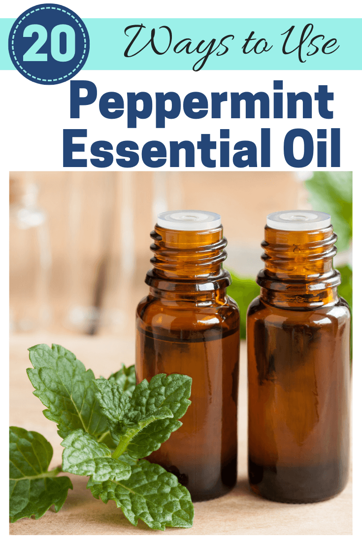 20 Uses For Peppermint Essential Oil