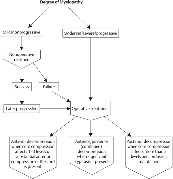 Cervical Radiculopathy Musculoskeletal Key