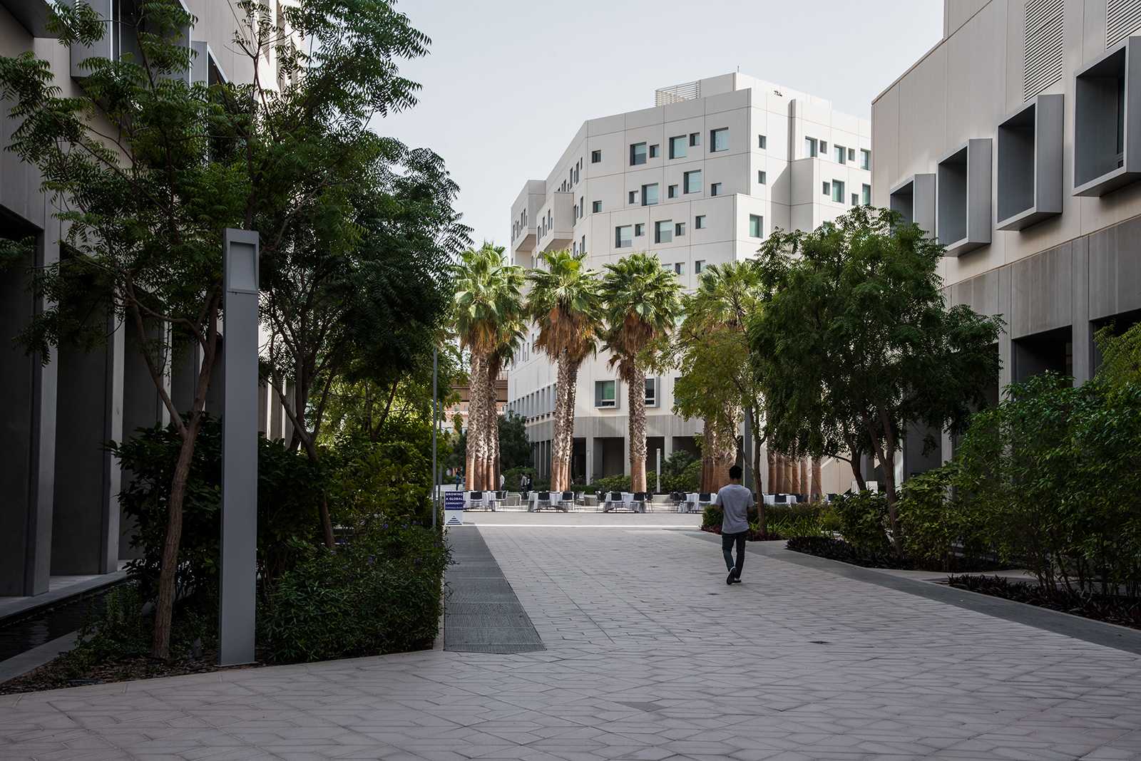 Nyu And Professors Butt Heads Over Nyuad Washington Square News