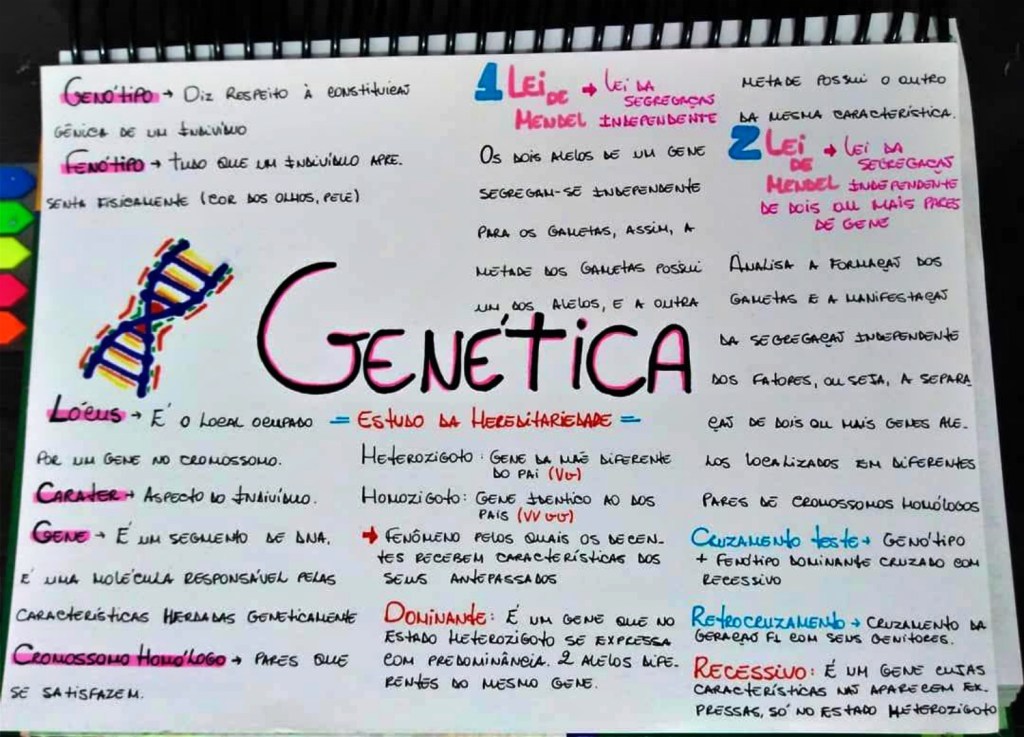 Mapa Mental Esquematizado Sobre GenÉtica Study Maps