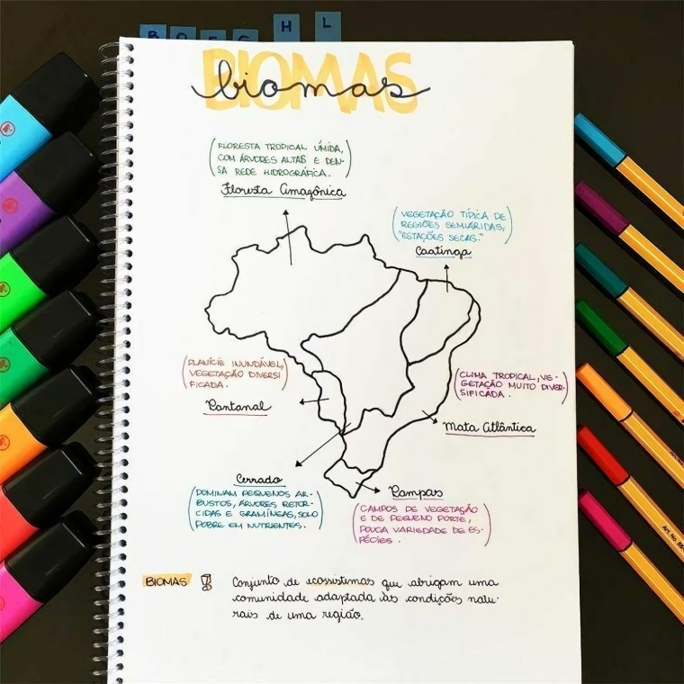 Mapa Mental Sobre Biomas Brasileiros Study Maps