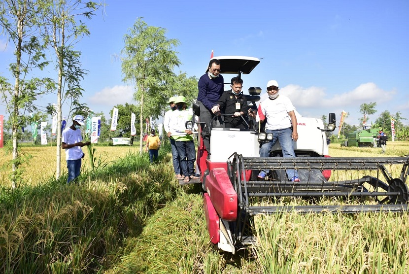 Flora Dan Fauna Di Negara Filipina Sinau