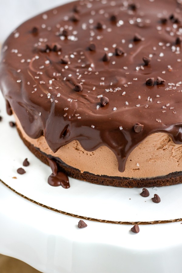 Nutella Mousse Cake Recipe Sugar Spices Life