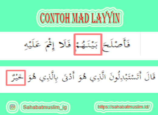 10 Contoh Mad Badal Beserta Surat Dan Ayatnya Contoh Mad Lin Beserta