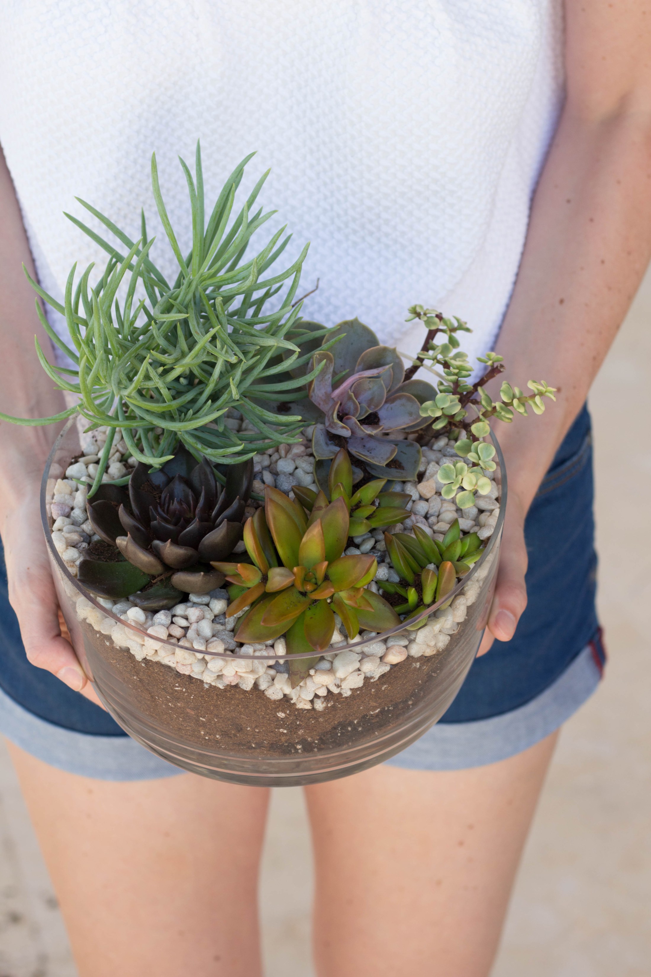 Diy Succulent Garden Simply J And K