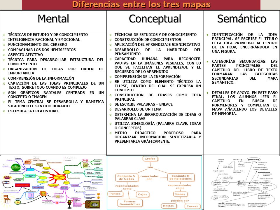 Diferencia Entre Esquema Y Mapa Conceptual Diferencias Y Similitudes