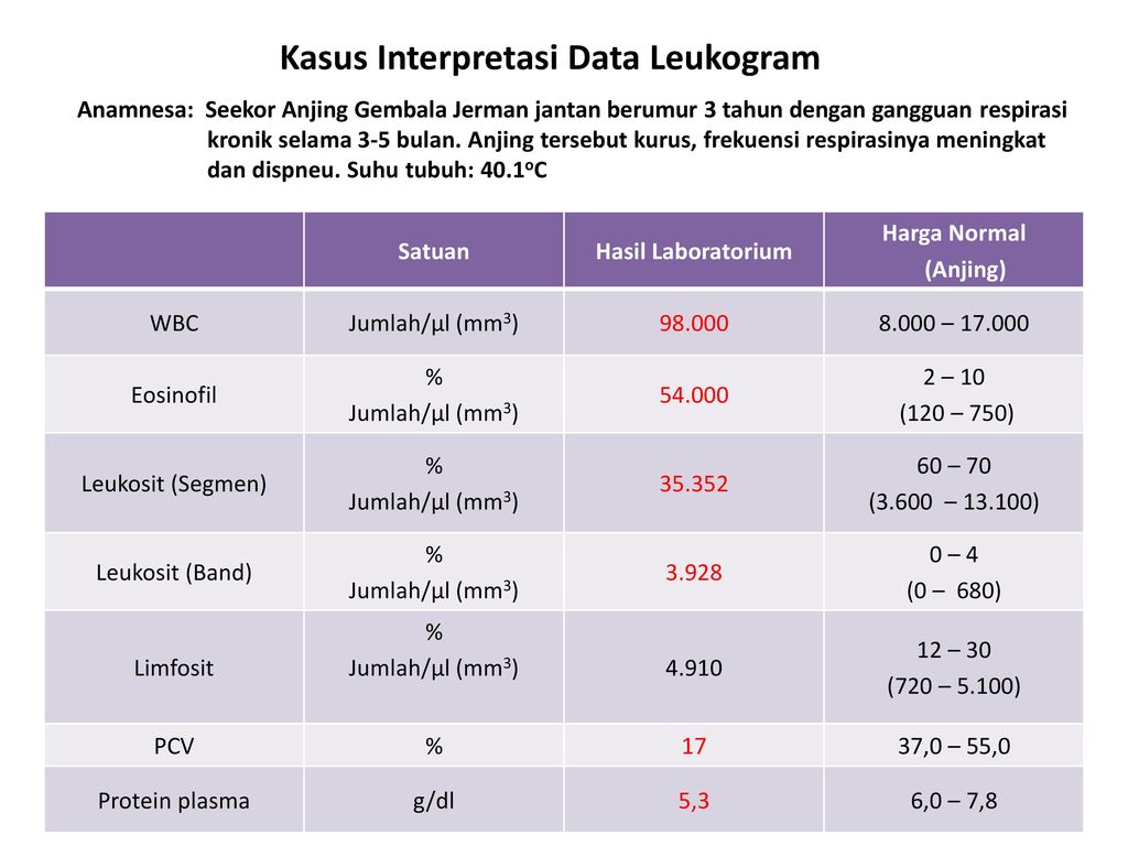 Contoh Hasil Pemeriksaan Hematologi Hasil Pemeriksaan Laboratorium