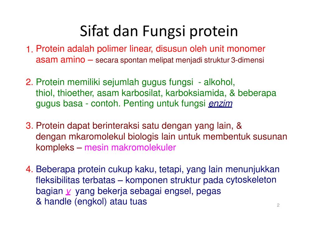 Fungsi Protein Terdapat Pada Nomor Brain