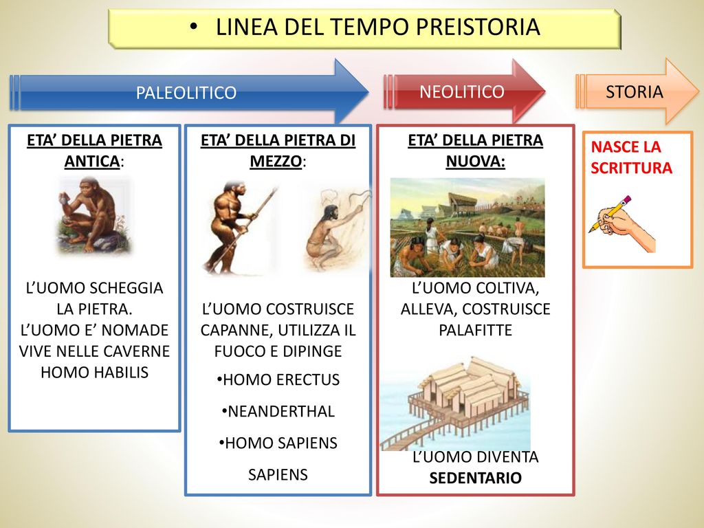 Linea Del Tempo Preistoria E Storia Alle Origini Della Vita La