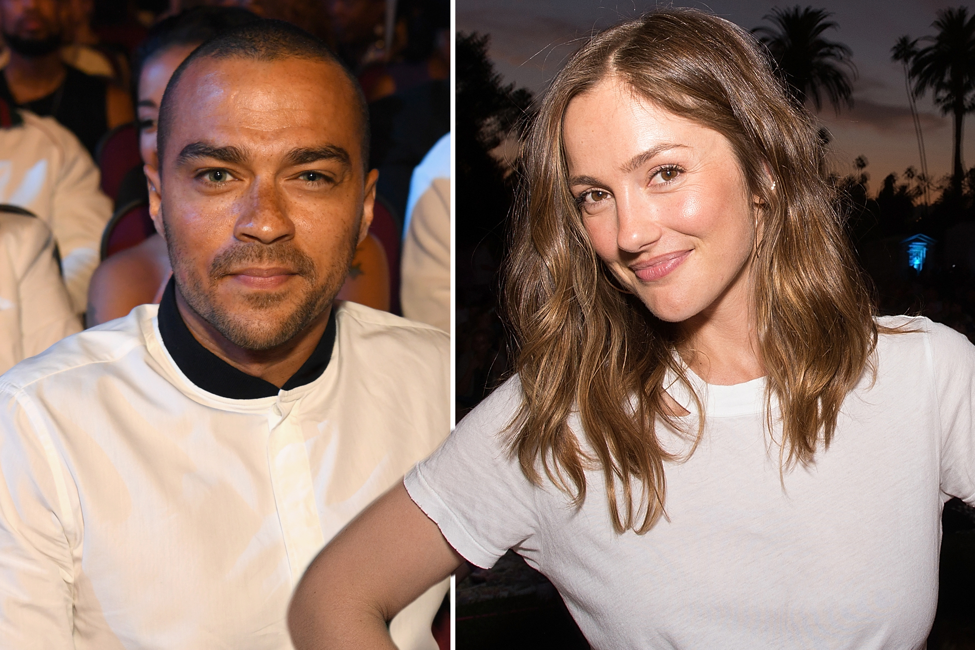 Jesse Williams And Minka Kelly Go Public With Relationship Page Six