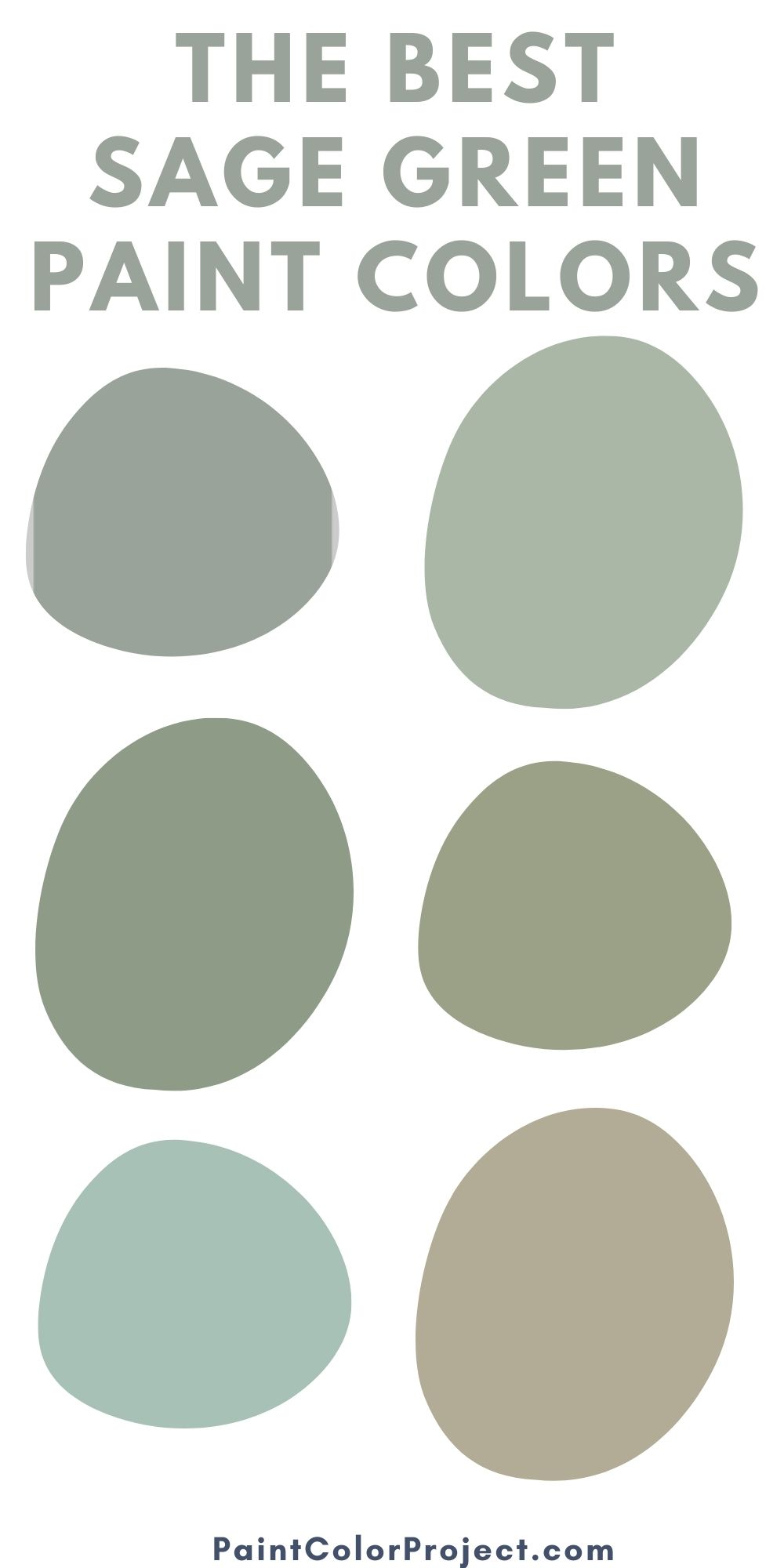 Sherwin Williams Light Sage Green Colors Color Inspiration