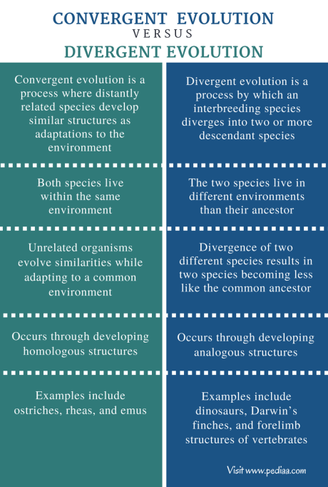 Difference Between Convergent And Divergent Evolution Definition