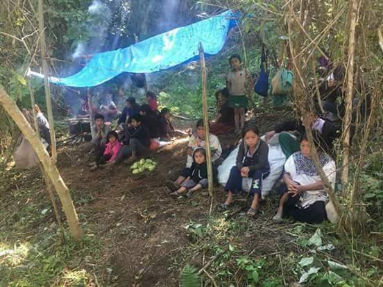 5 Mil Indígenas Tzotziles Se Esconden En Selva De Chenalhó En Chiapas