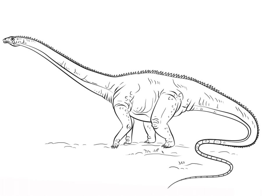 Dibujos Para Colorear Diplodocus Imprimible Gratis Para Los Niños Y