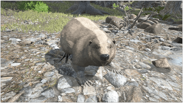 Ark Castoroides Guide Abilities Taming Food Saddle Breeding Drops