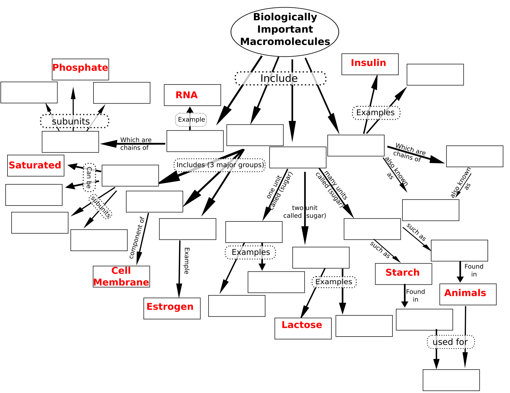 Carbohydrates Concept Map