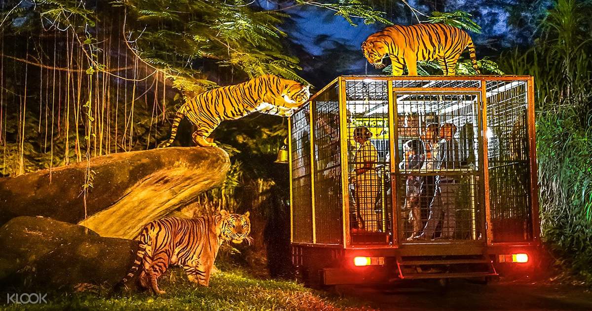 Taman Safari Dalam Bahasa Bali