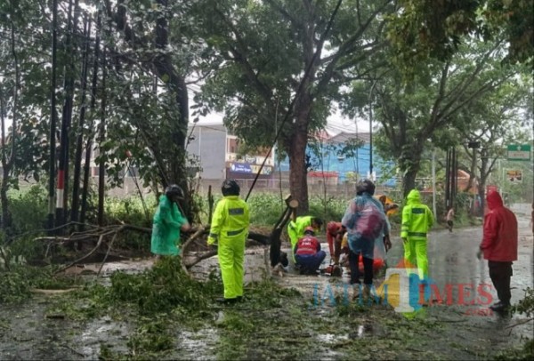 Penjelasan Dlh Kota Malang Soal Korban Tewas Tertimpa Pohon Yang Benar