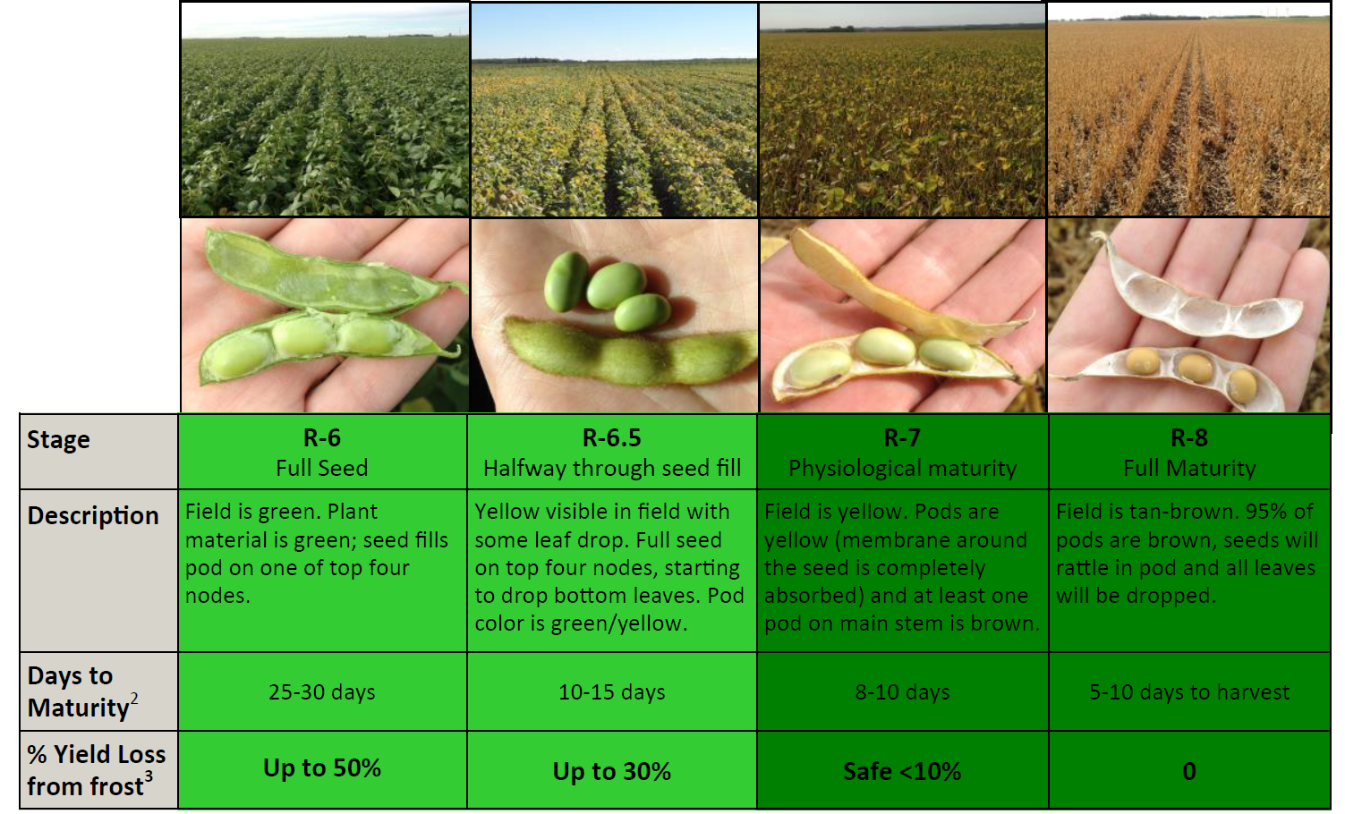 The Bean Report September 9 2020 Manitoba Pulse And Soybean Growers