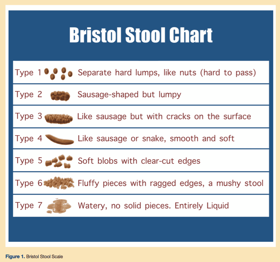 What Your Poop Says About Your Health Mary Vance Nc