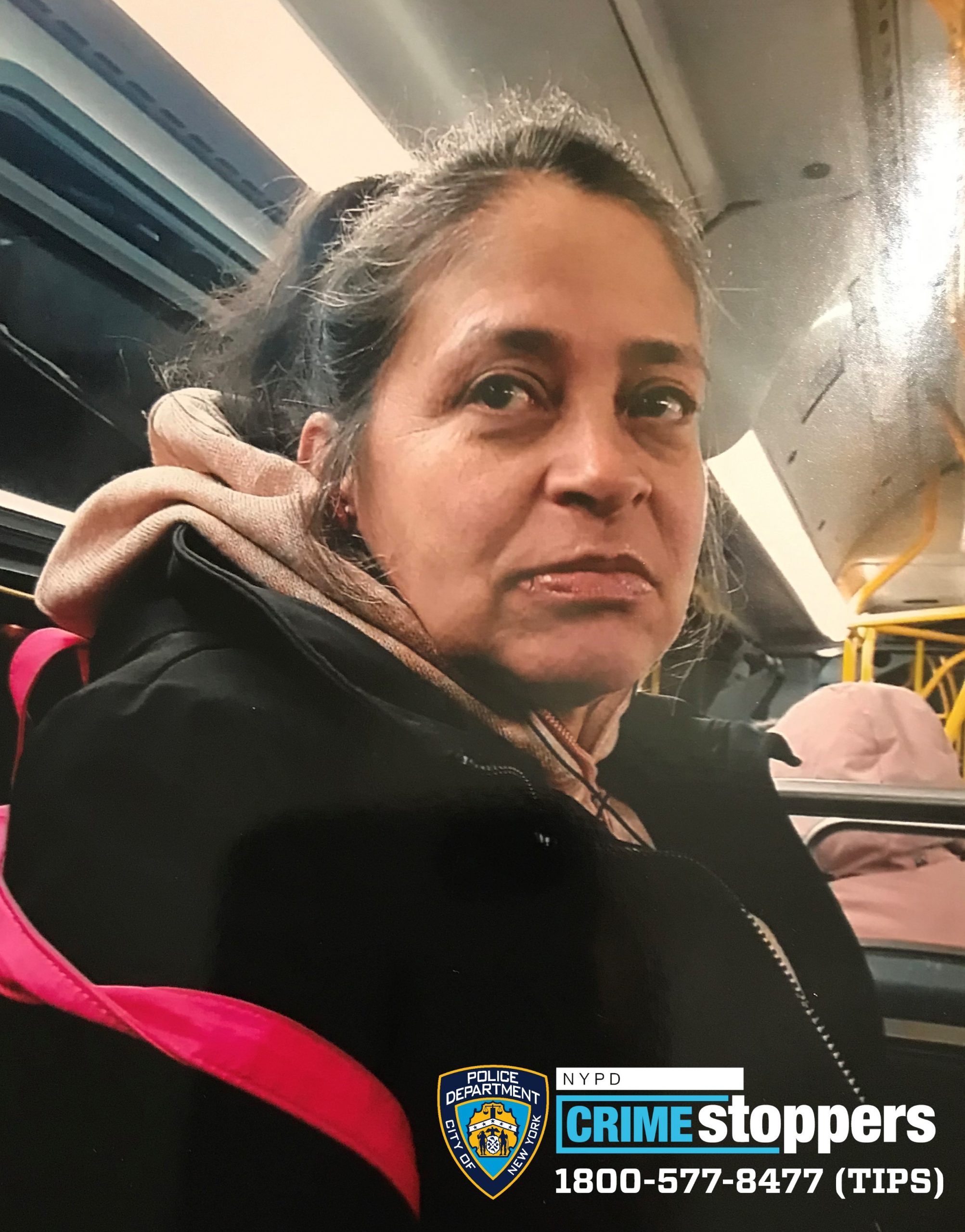 Soundview Search For 51 Year Old Missing Woman Norwood News