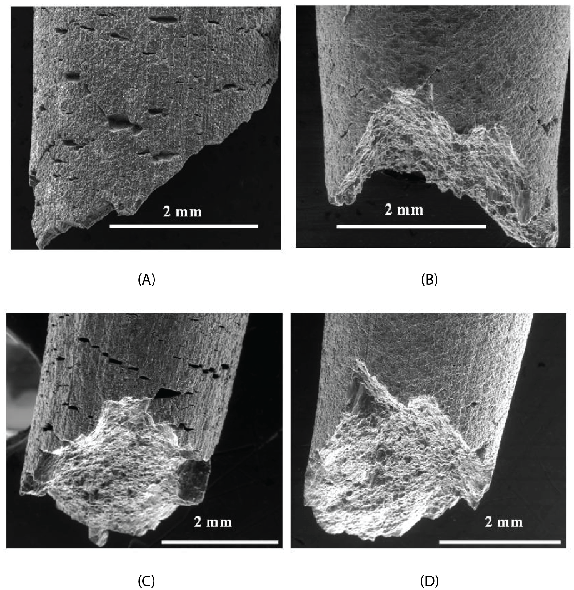 Hydrogen Diffusion Control During Stress Corrosion Cracking Of