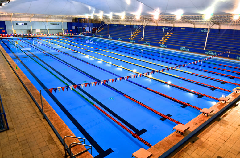 Dibujo De La Piscina Olimpica Con Sus Medidas Reglamentarias