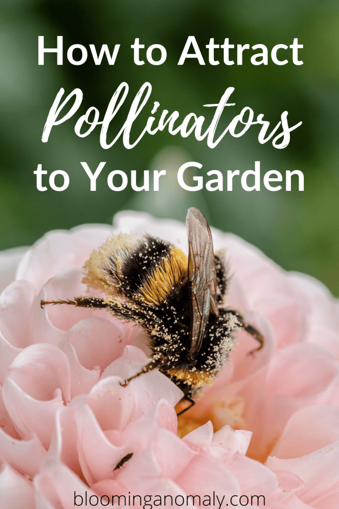 How To Attract Pollinators To Your Garden • Tasteandcraze