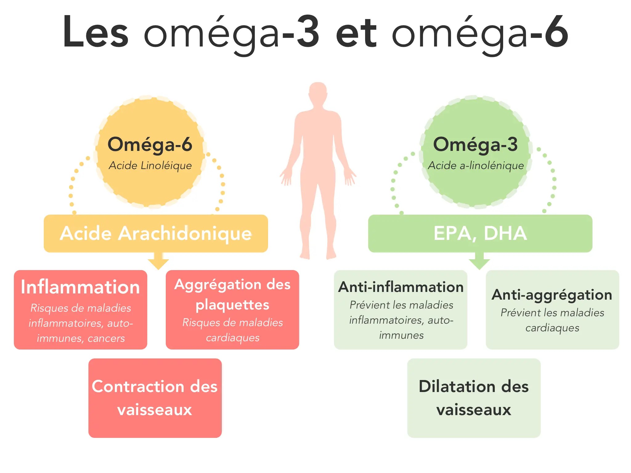 Oméga 3 Et Oméga 6 Tout Savoir Sur Les Acides Gras Essentiels Bmoove