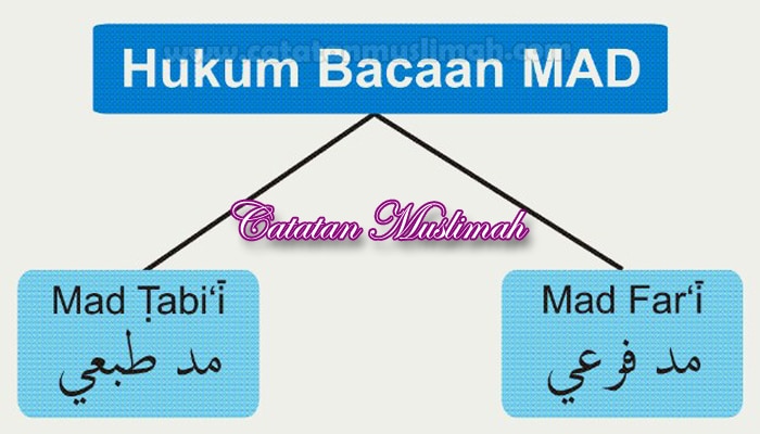 Tajwid Lengkap Beserta Contoh Sinau