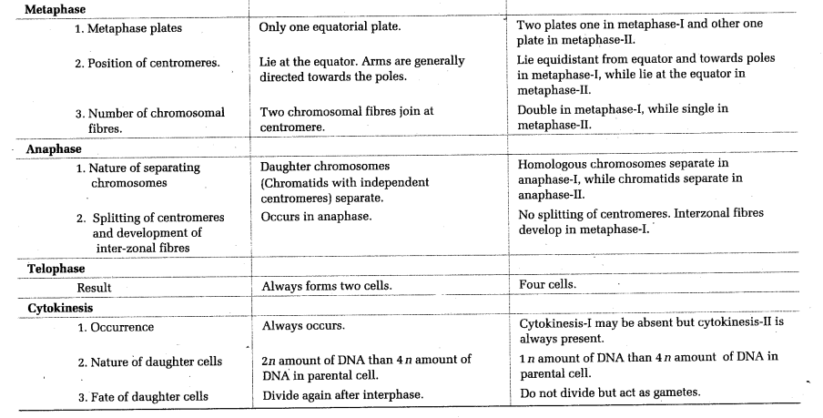 Neet Biology Notes The Cell Division Cell Cycle Cbse Tuts