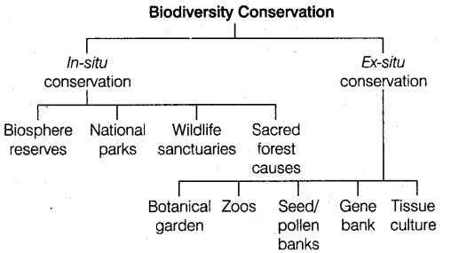 Neet Biology Notes Biodiversity And Wildlife Conservation Biodiversity