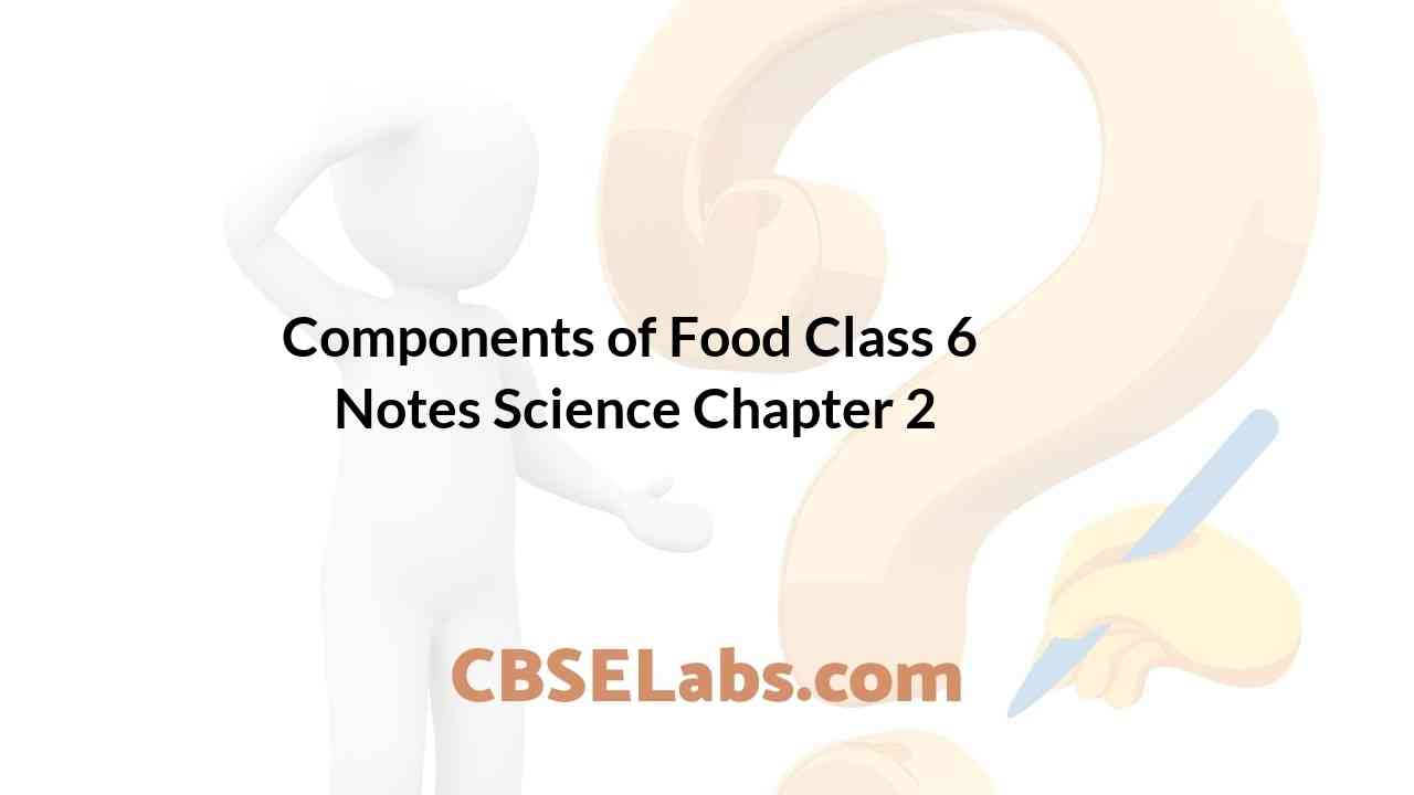 Components Of Food Class 6 Notes Science Chapter 2 Cbse Labs