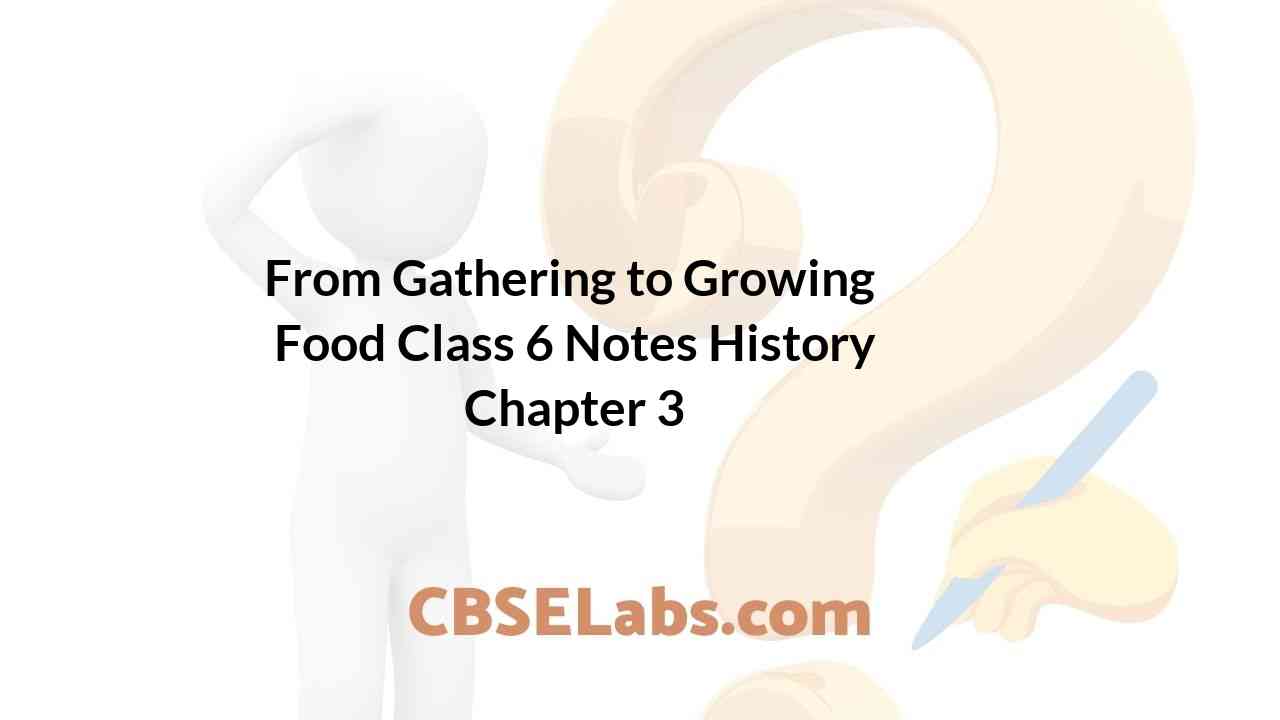 From Gathering To Growing Food Class 6 Notes History Chapter 3 Cbse Labs