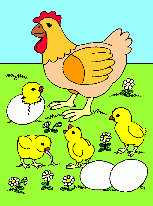 La Gallina Y Sus Pollitos Animado Gallina Y Pollitos Pintado Por