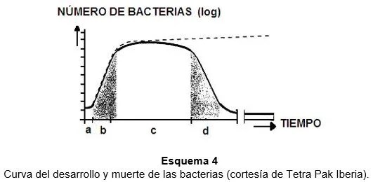 Etapas De La Curva De Crecimiento De Las Bacterias Cursos Gratis