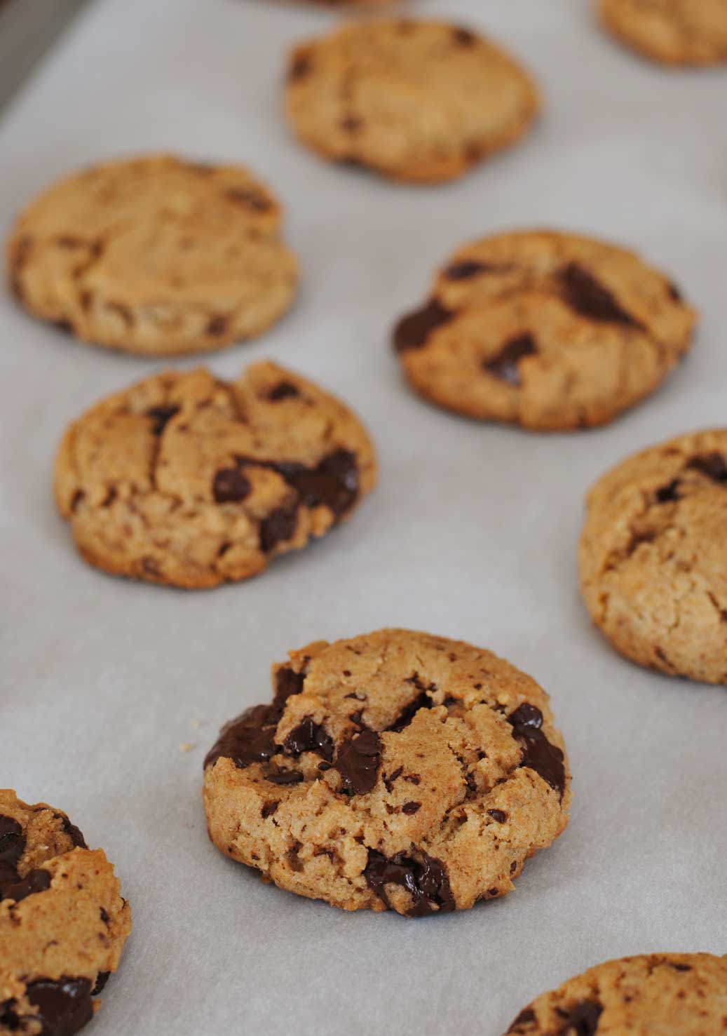 Whole Wheat Honey Chocolate Chunk Cookies Confessions Of A Midnight Baker