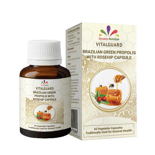 Why Brazilian Green Propolis Known As The Most Effective Propolis